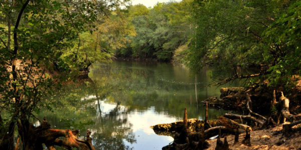 Flint River History & Facts | Flint Riverkeeper